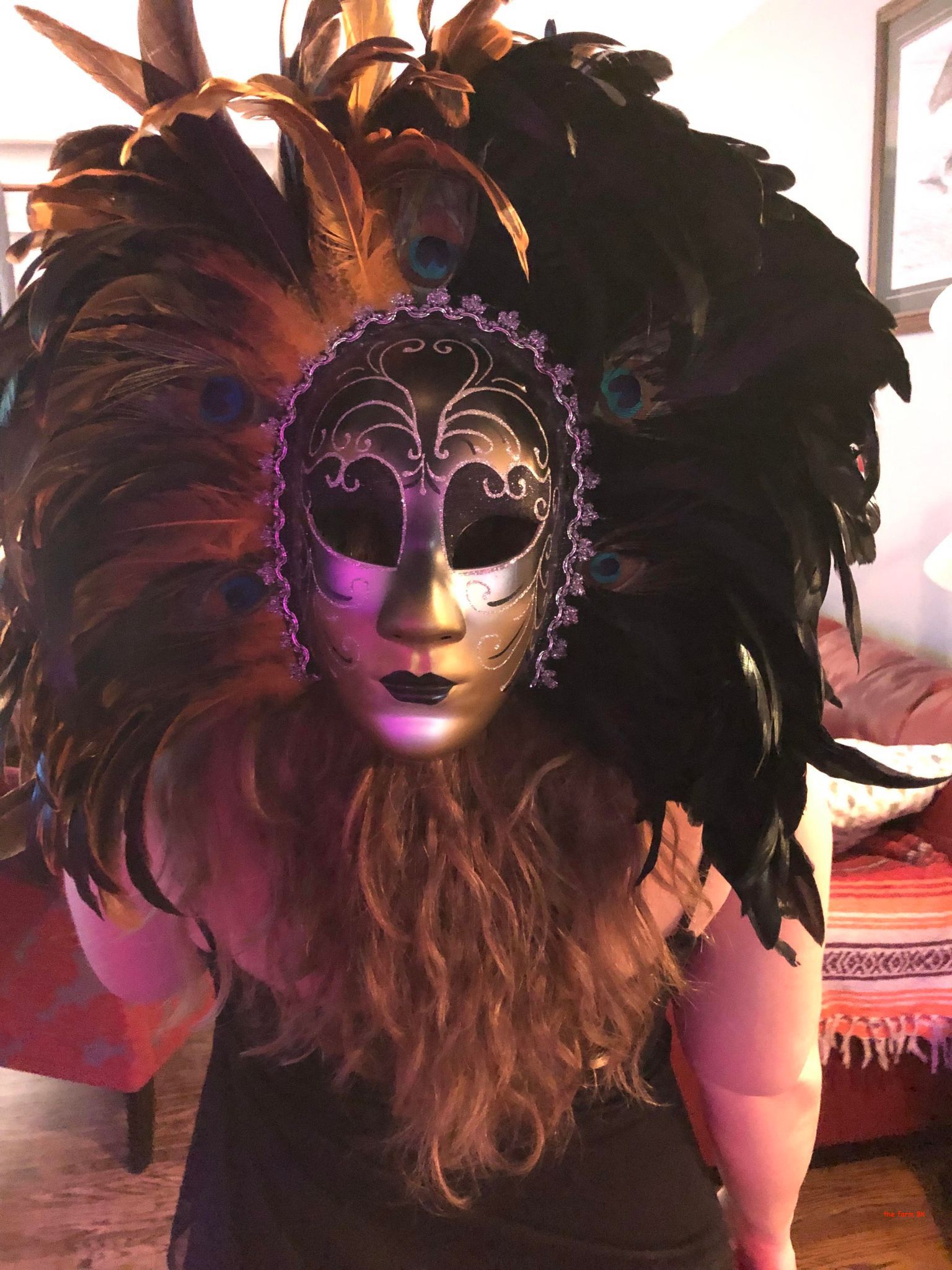 the farm BK0063 – BK